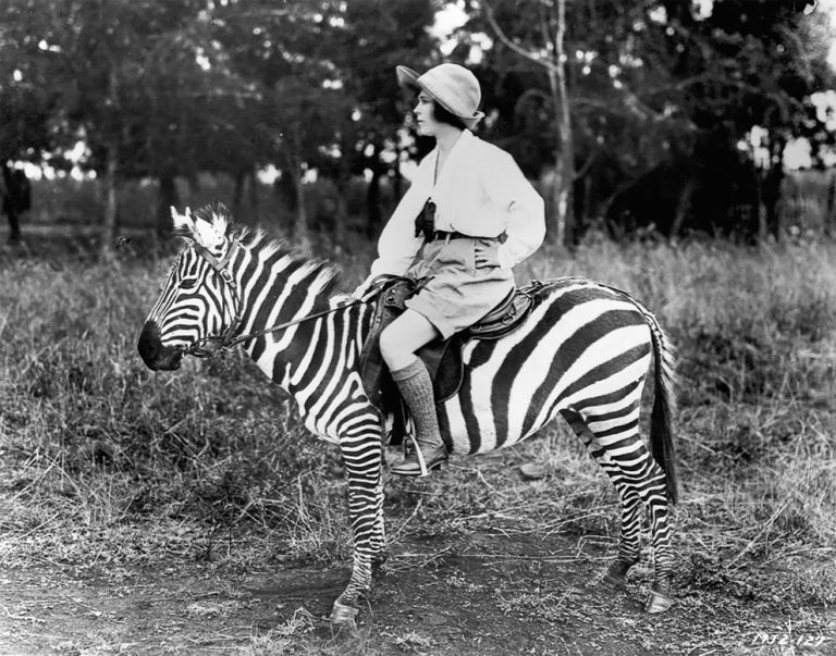 Cool Vintage Photographs That Show People Riding Zebras From The Late ...
