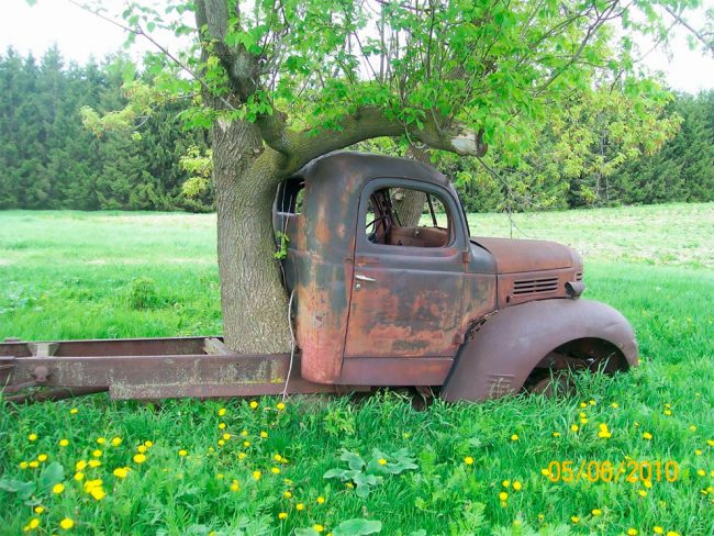 Amazing Photographs Of Trees Growing Through Classic Cars » Design You ...
