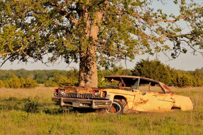 Amazing Photographs Of Trees Growing Through Classic Cars » Design You ...