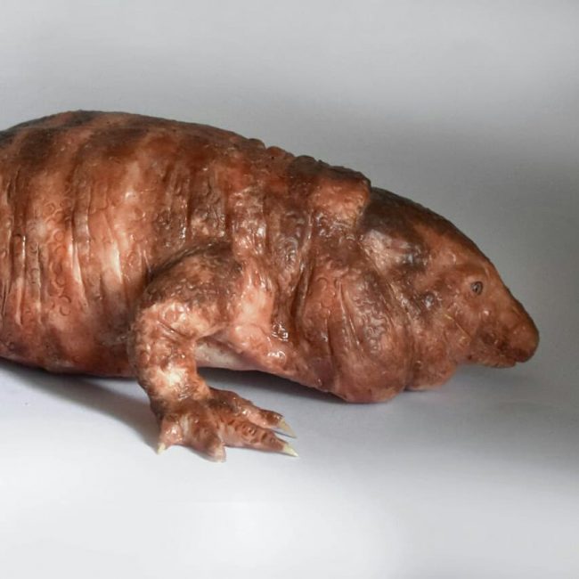 Unbelievable Creepy Hyper Realistic Creatures By Laira Maganuco ...