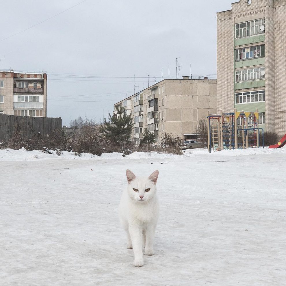 Russian Soul In A Nutshell: Honest Photography By Dmitry Markov ...