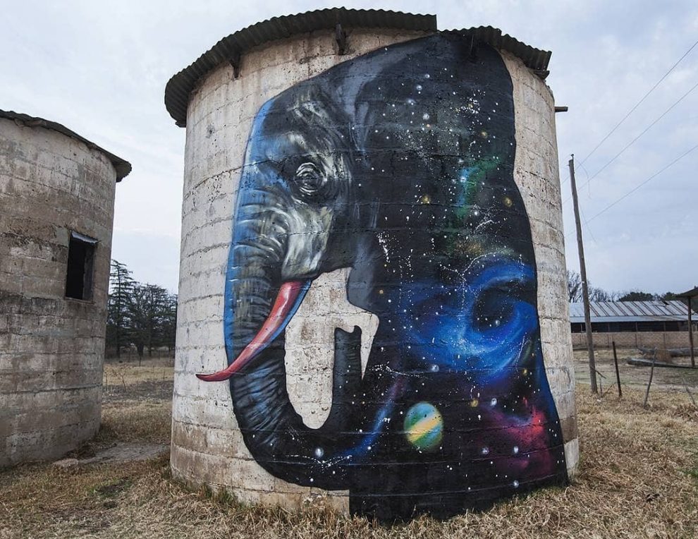 Graffiti Artist Turns South African Towns Into Open-Air Galleries ...