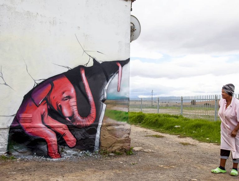 Graffiti Artist Turns South African Towns Into Open-Air Galleries ...