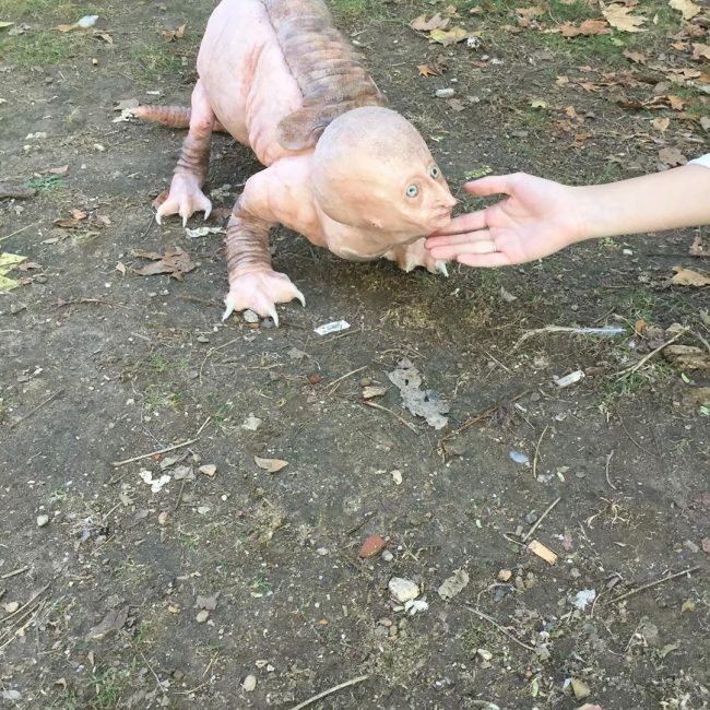 Unbelievable Creepy Hyper Realistic Creatures By Laira Maganuco ...