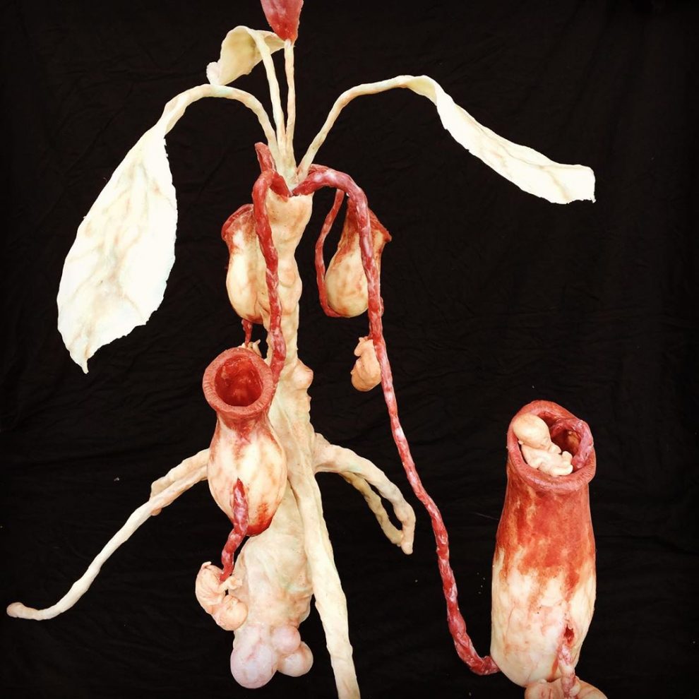 Unbelievable Creepy Hyper Realistic Creatures By Laira Maganuco ...