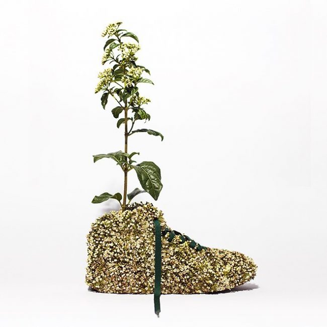 “Back To The Nature”: Artist Combines Everyday Objects With Plants To ...