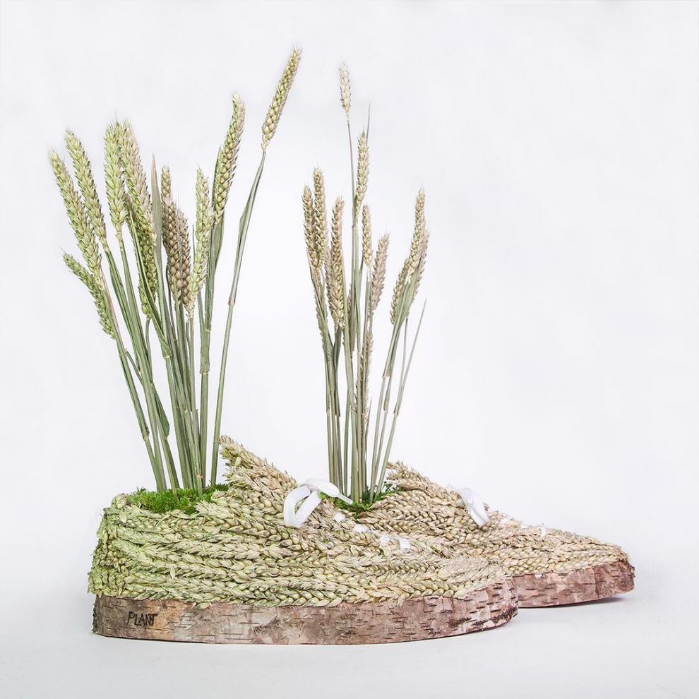 “Back To The Nature”: Artist Combines Everyday Objects With Plants To ...