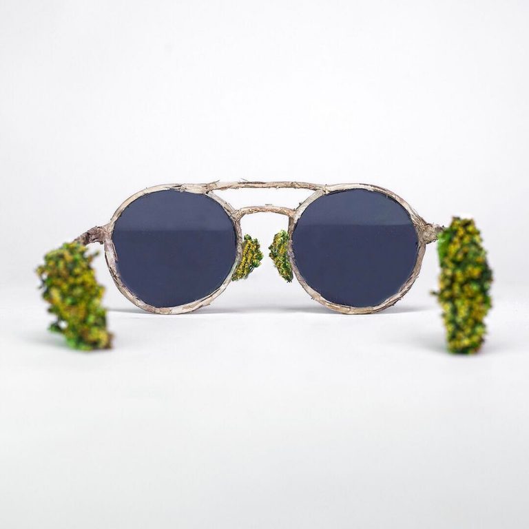 “Back To The Nature”: Artist Combines Everyday Objects With Plants To ...