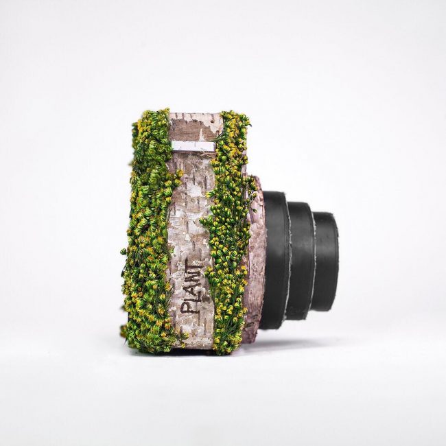 “Back To The Nature”: Artist Combines Everyday Objects With Plants To ...