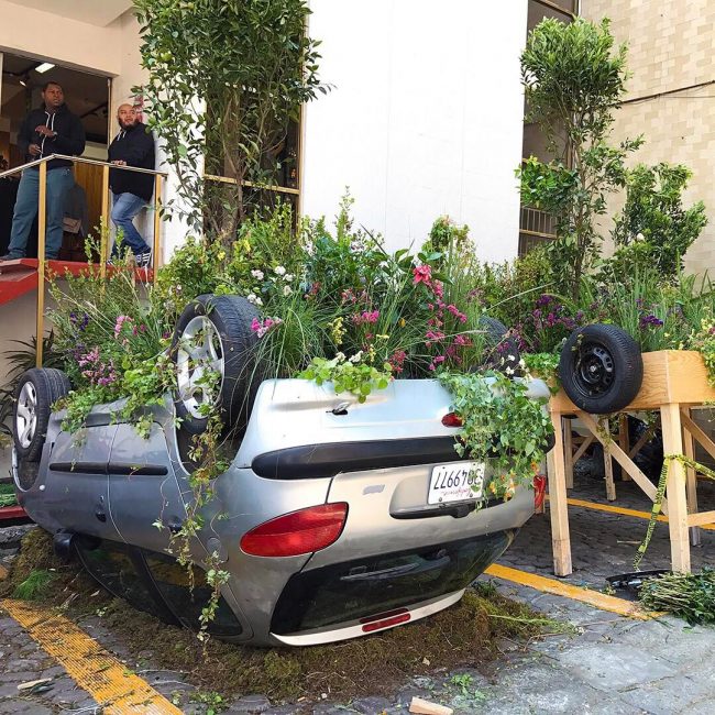 “Back To The Nature”: Artist Combines Everyday Objects With Plants To ...