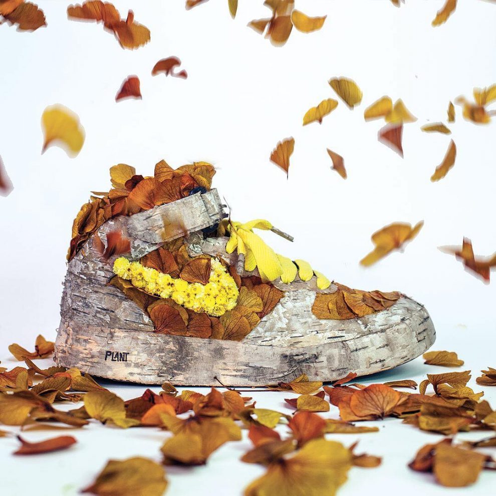 “Back To The Nature”: Artist Combines Everyday Objects With Plants To ...