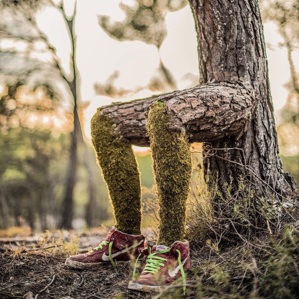 “Back To The Nature”: Artist Combines Everyday Objects With Plants To ...