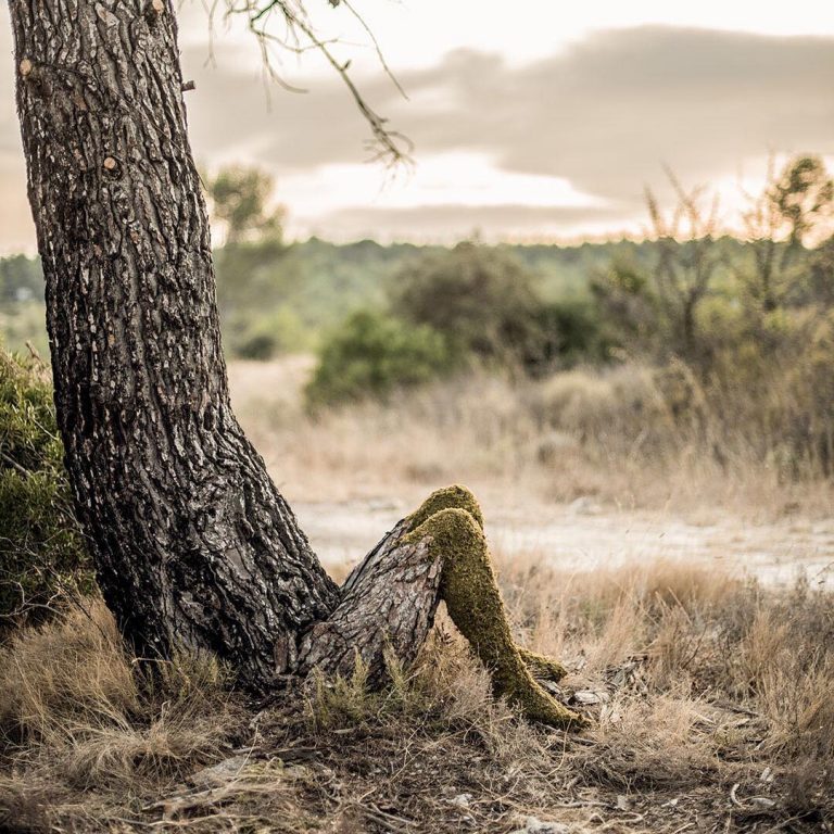 “Back To The Nature”: Artist Combines Everyday Objects With Plants To ...