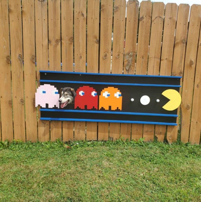 These Guys Make Neighborhood Laugh with Creative Fence Windows for Dogs ...