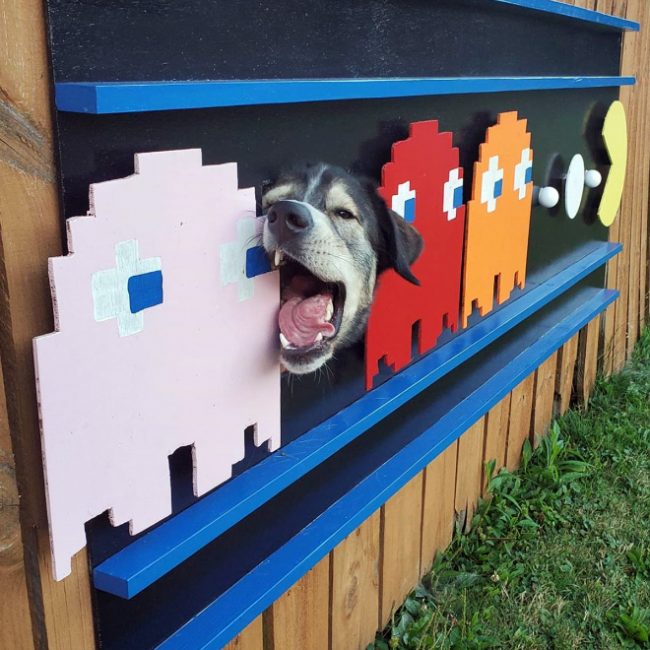 These Guys Make Neighborhood Laugh with Creative Fence Windows for Dogs ...