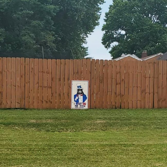 These Guys Make Neighborhood Laugh with Creative Fence Windows for Dogs ...