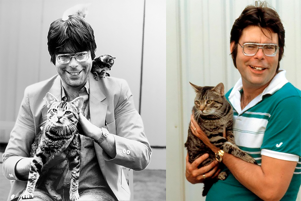 Awesome Photos of Stephen King Posing With His Beloved Cats From the ...
