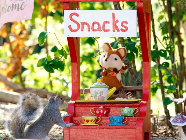 Photographer Turns Her Garden Into a Tiny Cafe; Shoots the Cutest ...