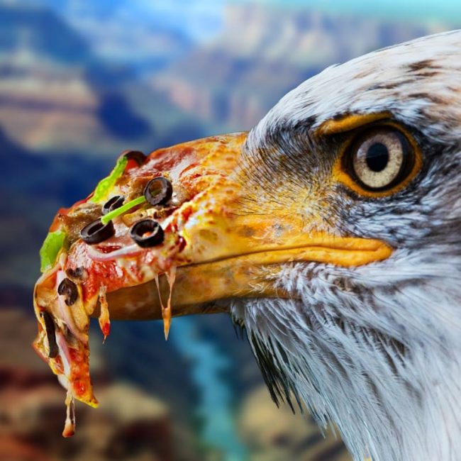 This Instagram Account Cleverly Photoshops Animals Into Everyday Things ...