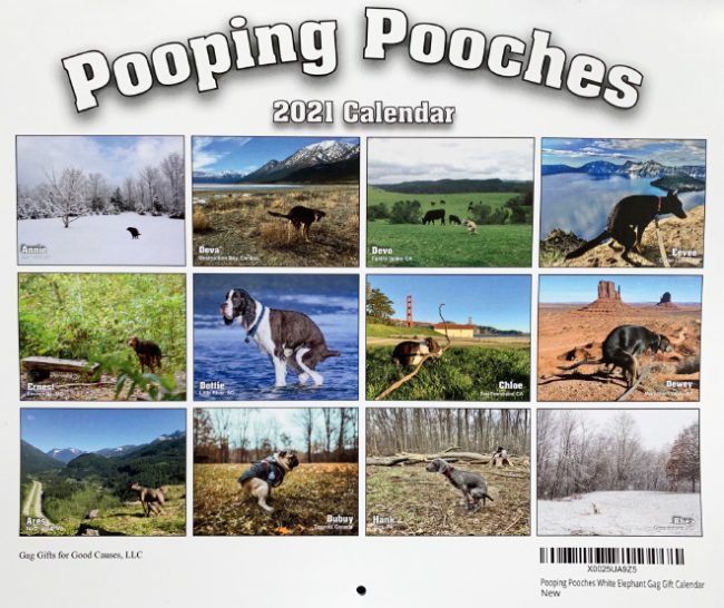 2021 Pooping Dogs Calendar Is Here, and This Year Contains a Puzzle ...