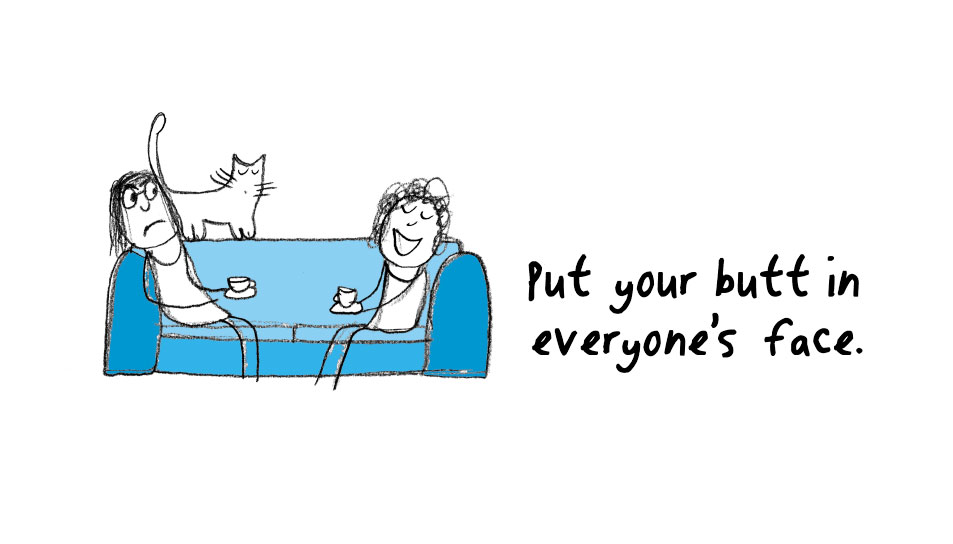 How To Become a Cat: The Complete Guide » Design You Trust — Design ...