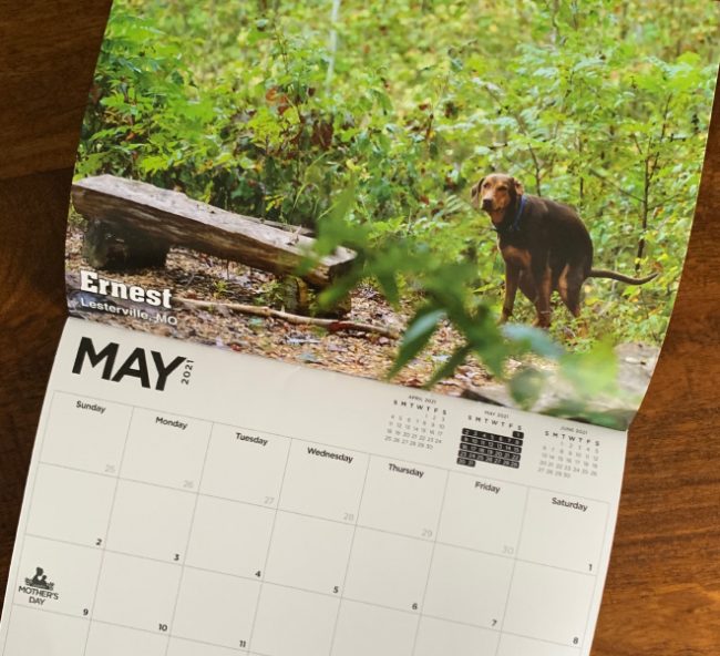 2021 Pooping Dogs Calendar Is Here, and This Year Contains a Puzzle ...
