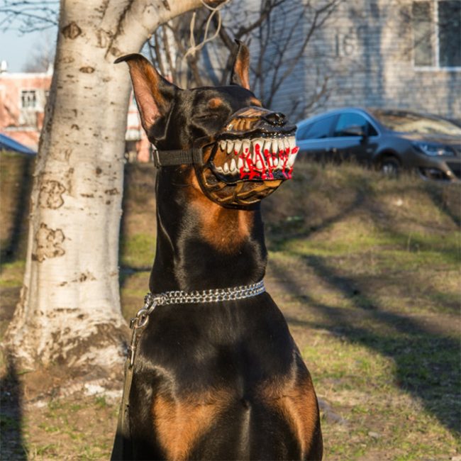 This Dog Muzzle Is Perfect To Scare The Hell Out Of Neighbors On ...