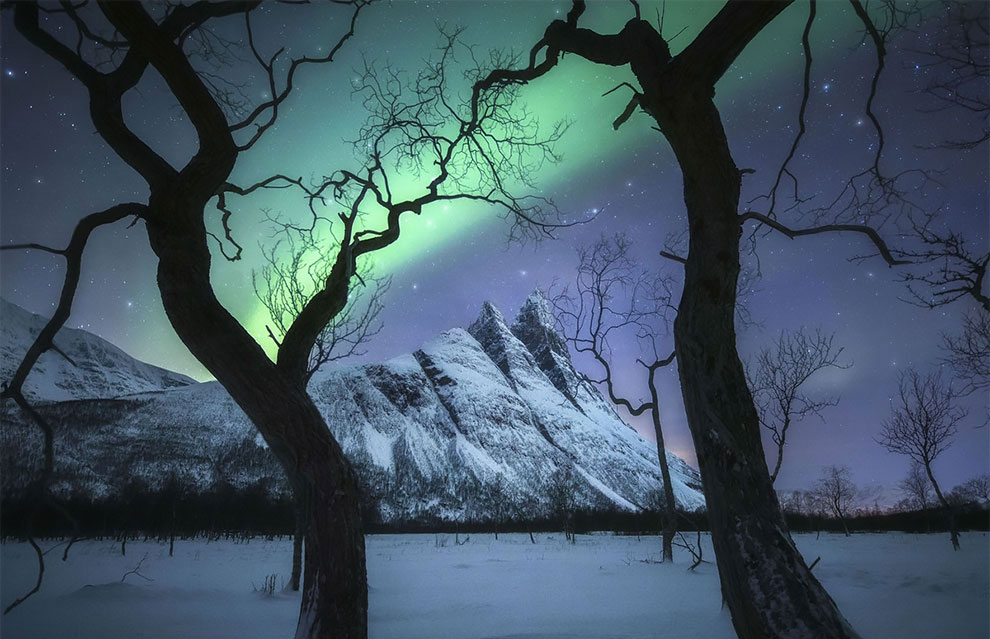 Winners Of The 2020 International Landscape Photographer Of The Year ...