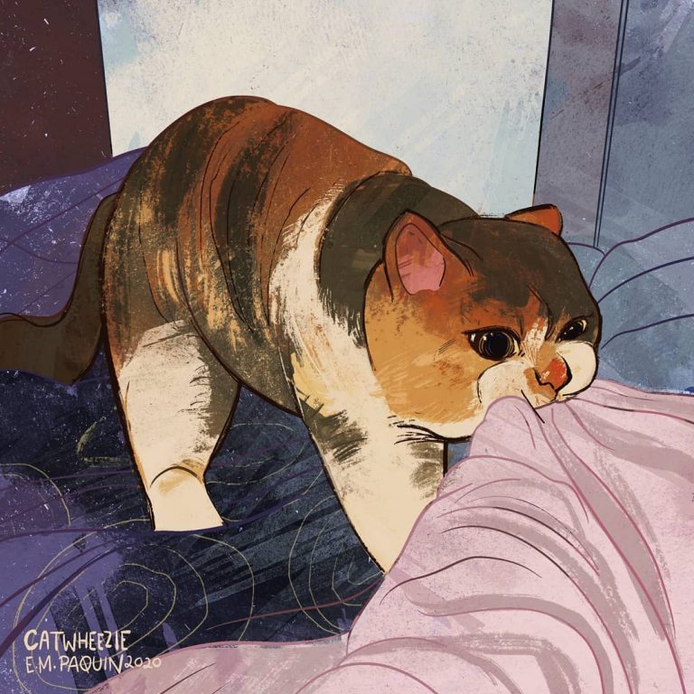 Daily Cat Drawings: Artist Wants To Adopt A Cat So Bad, She Signs Up ...