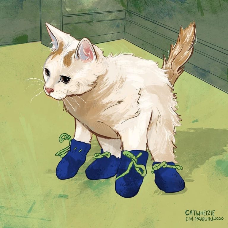 Daily Cat Drawings: Artist Wants To Adopt A Cat So Bad, She Signs Up ...