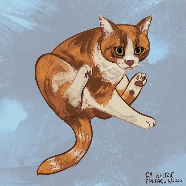 Daily Cat Drawings: Artist Wants To Adopt A Cat So Bad, She Signs Up ...