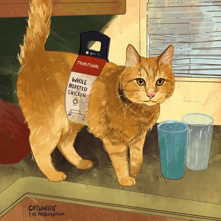 Daily Cat Drawings: Artist Wants To Adopt A Cat So Bad, She Signs Up ...