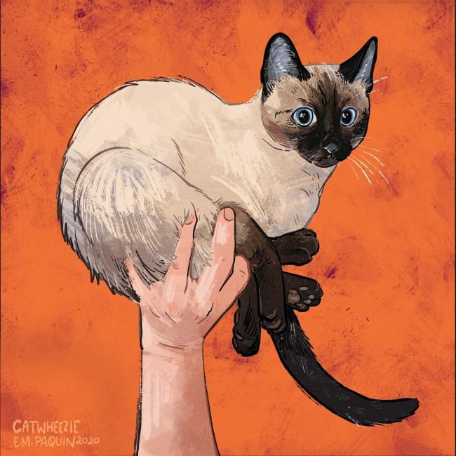 Daily Cat Drawings: Artist Wants To Adopt A Cat So Bad, She Signs Up ...
