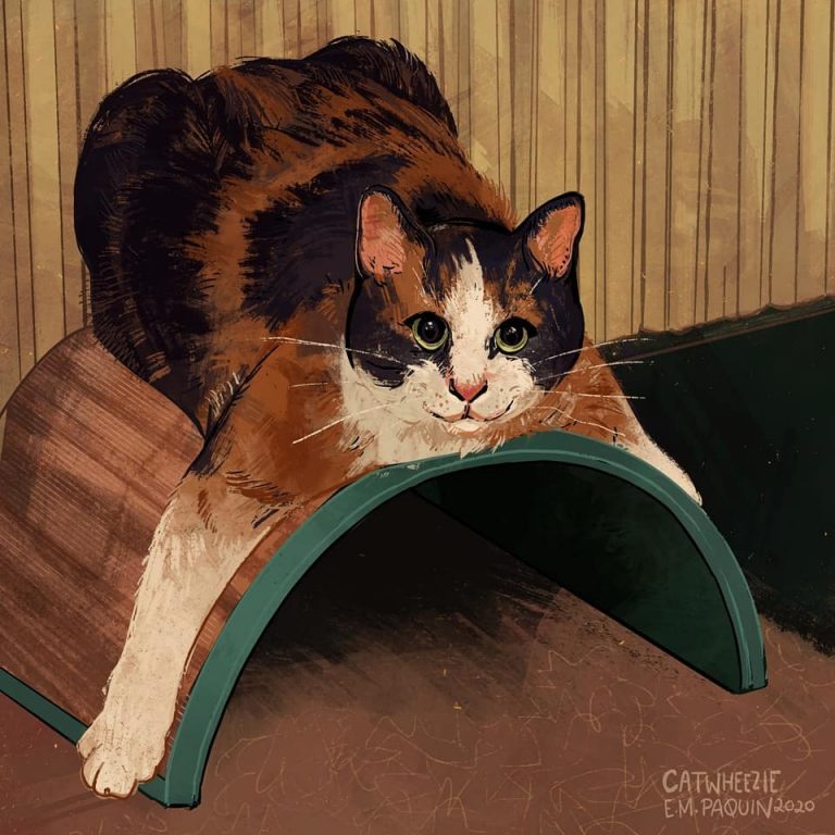 Daily Cat Drawings: Artist Wants To Adopt A Cat So Bad, She Signs Up ...