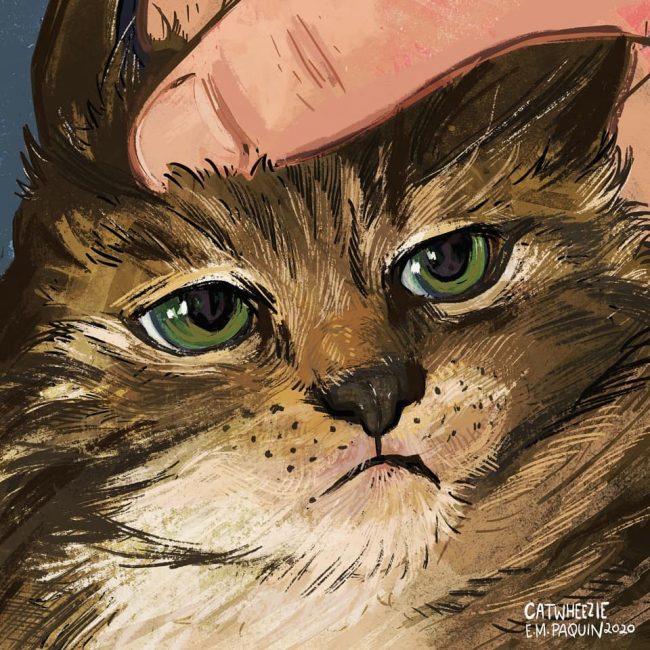 Daily Cat Drawings: Artist Wants To Adopt A Cat So Bad, She Signs Up ...