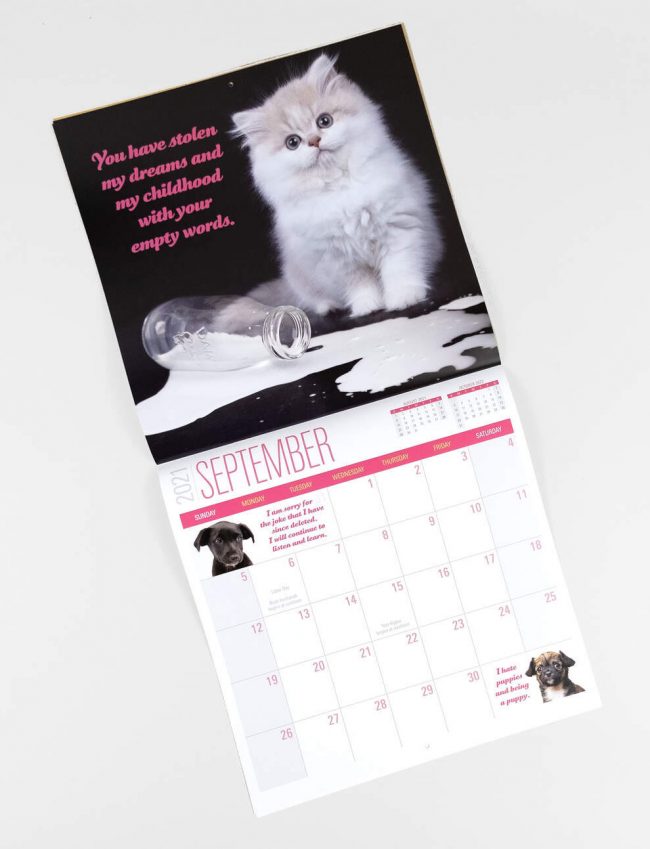 2021 Social Justice Kittens Calendar Is Here! » Design You Trust ...