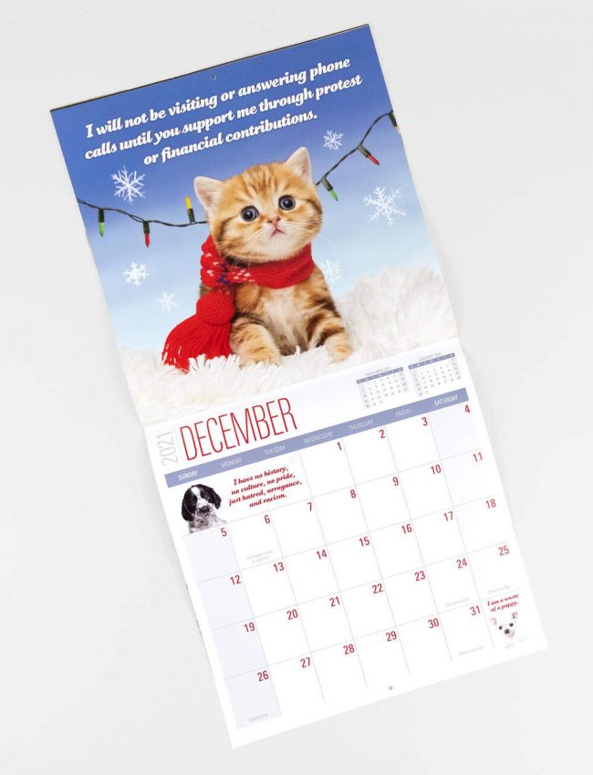 2021 Social Justice Kittens Calendar Is Here! » Design You Trust ...