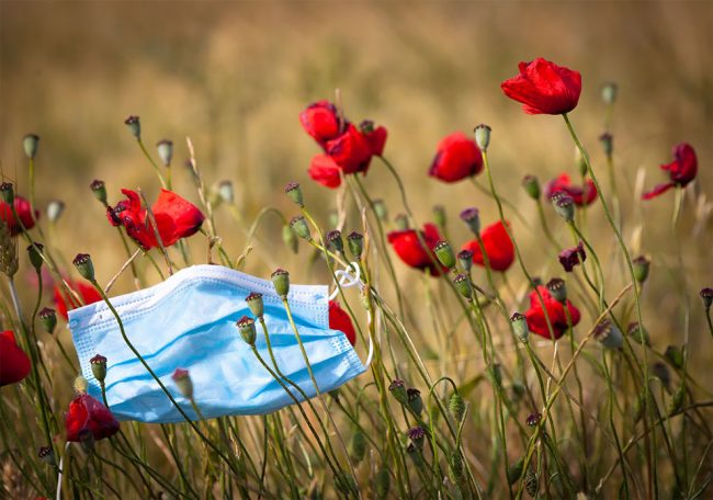 Reconnect with Nature: Spectacular Winning Photos from The Rediscover ...