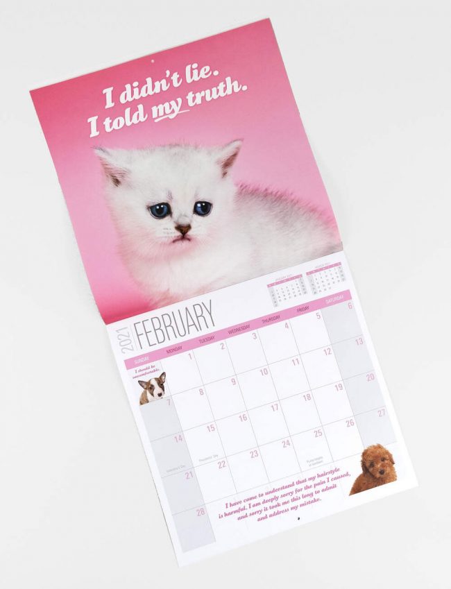 2021 Social Justice Kittens Calendar Is Here! » Design You Trust ...