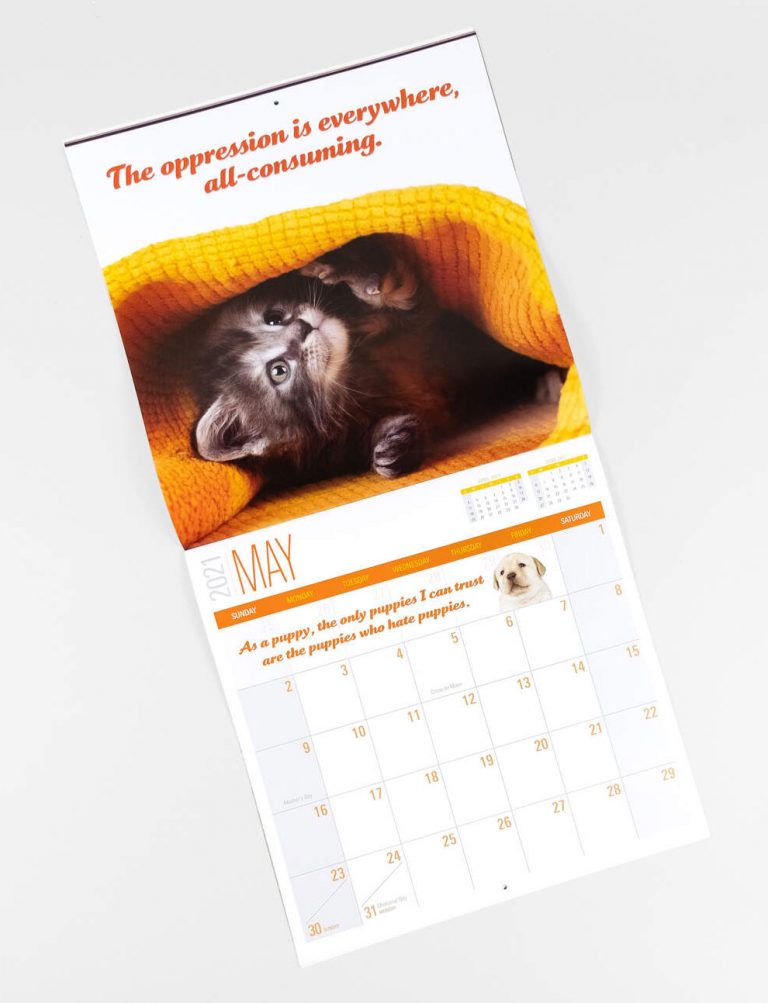 2021 Social Justice Kittens Calendar Is Here! » Design You Trust ...