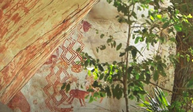 Rock Art Depicting Extinct Animals Is Discovered In Colombian Amazon ...