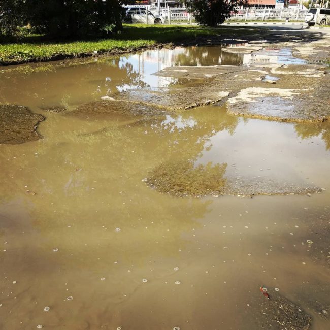 This 25-Year-Old Puddle Has Its Own Instagram Account » Design You ...