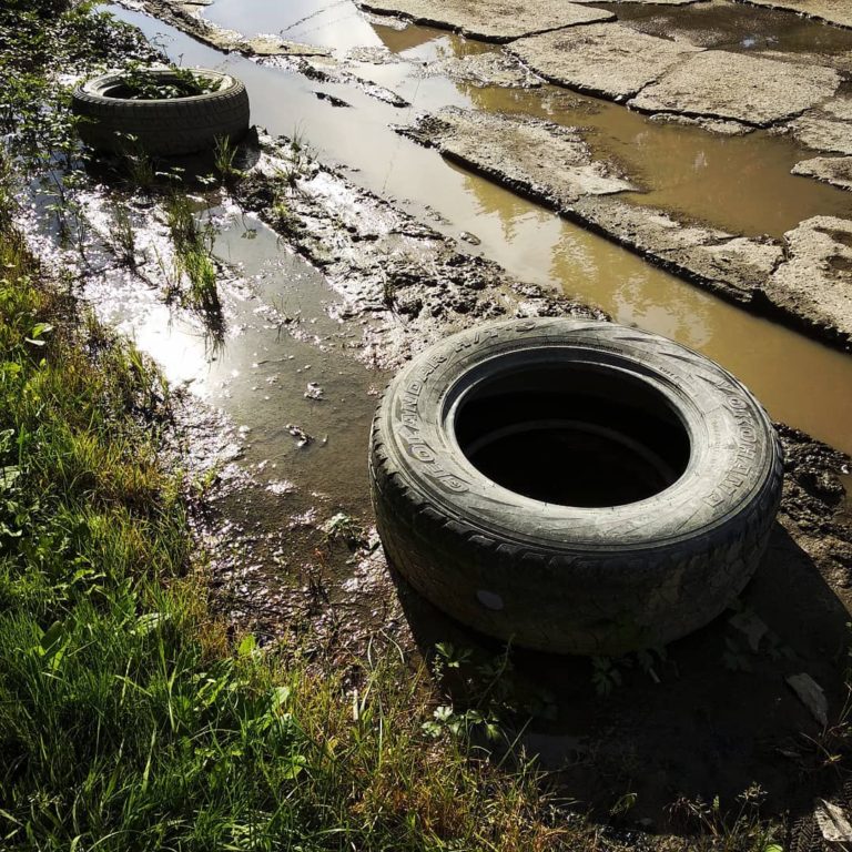 This 25-Year-Old Puddle Has Its Own Instagram Account » Design You ...