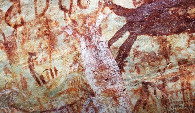 Rock Art Depicting Extinct Animals Is Discovered In Colombian Amazon ...