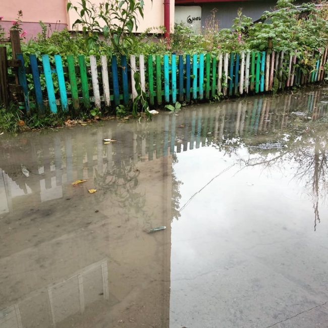 This 25-Year-Old Puddle Has Its Own Instagram Account » Design You ...