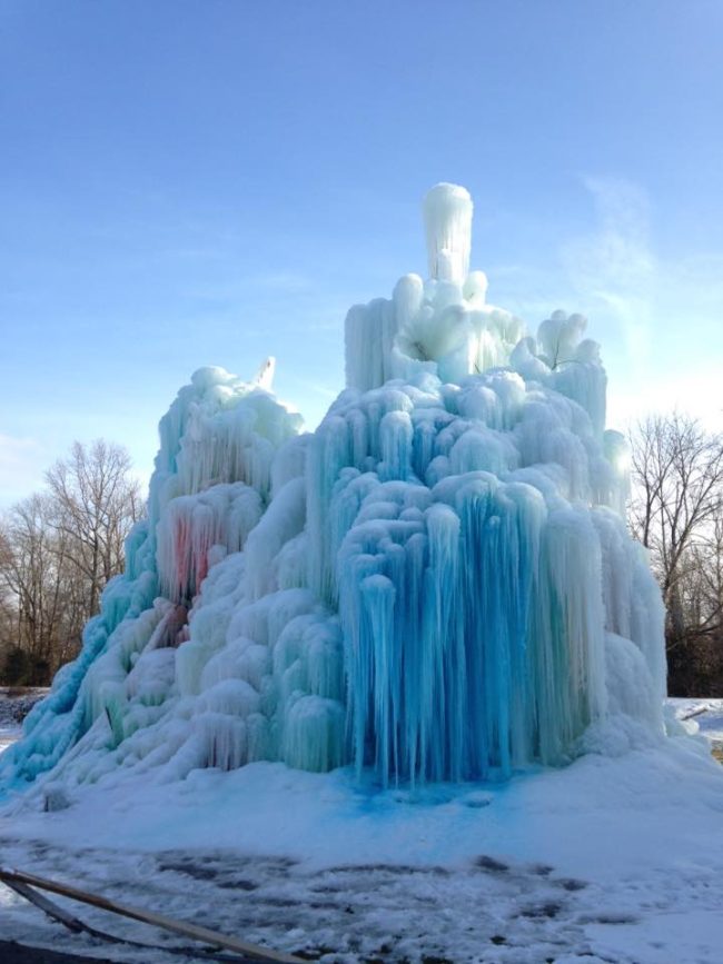 This Family Has Been Creating Beautiful Ice Trees Every Christmas, for ...
