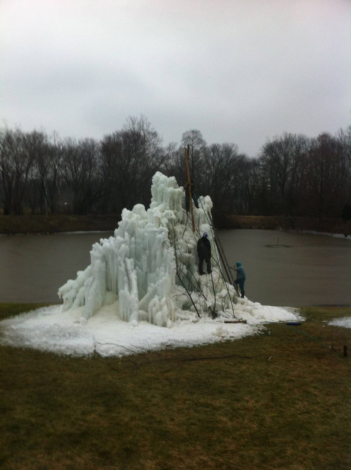 This Family Has Been Creating Beautiful Ice Trees Every Christmas, for ...