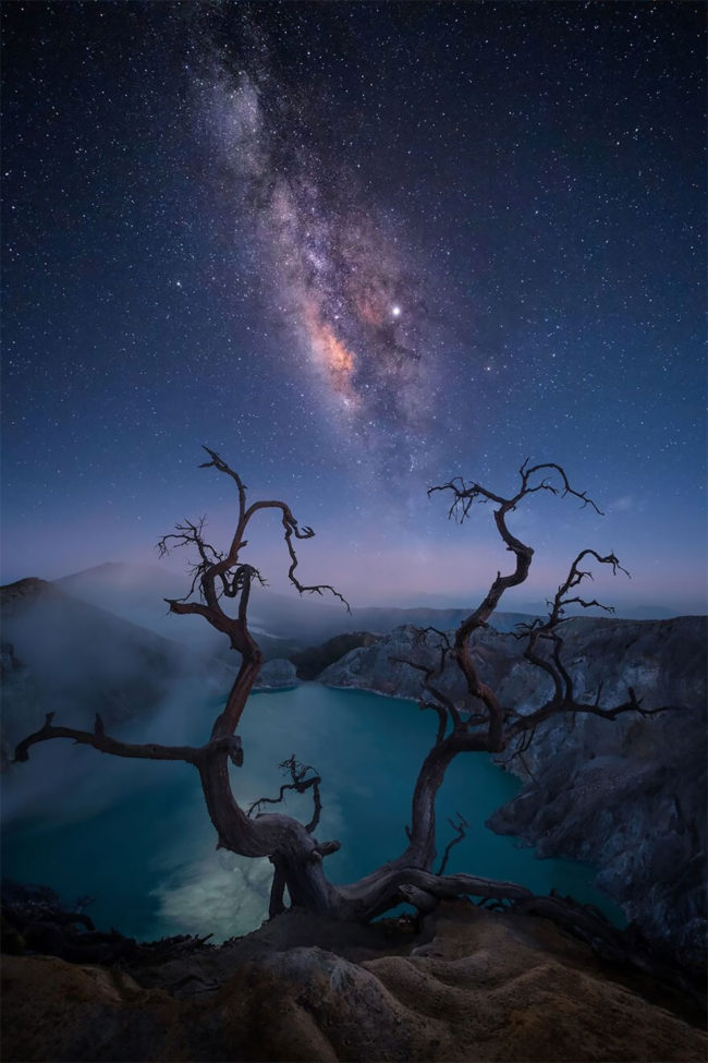 The Beautiful Winning Photos of 2020 Budapest International Foto Awards ...