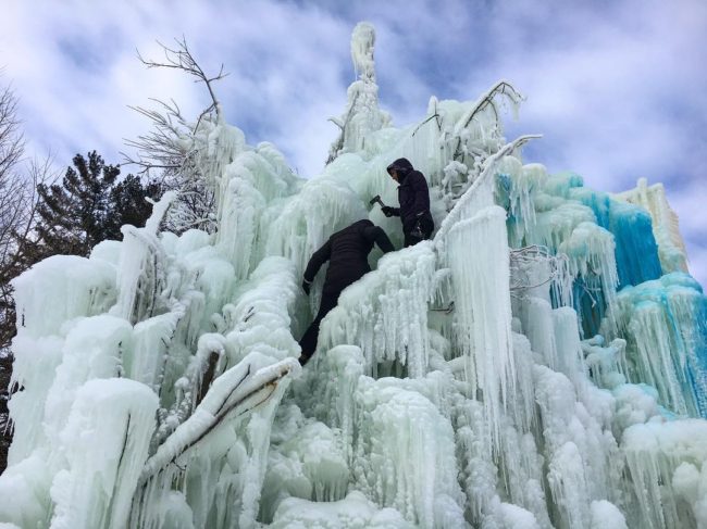 This Family Has Been Creating Beautiful Ice Trees Every Christmas, for ...