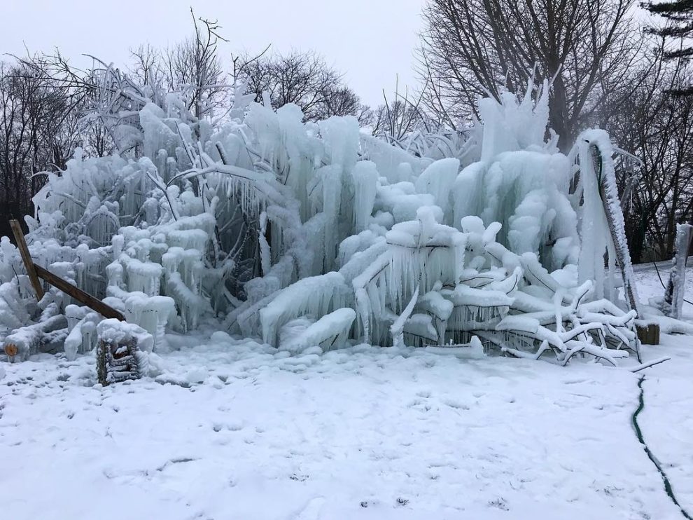 This Family Has Been Creating Beautiful Ice Trees Every Christmas, for ...